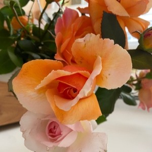 Royal Flying Doctor Service - Rhabdo for a reason